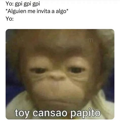 Yo Encajando Con La Chaviza Y La Queso Pluma Memes