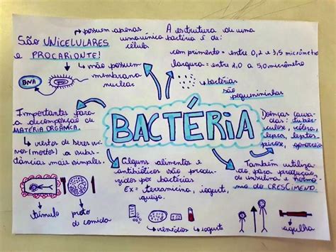 Mapa Mental Sobre Bactérias