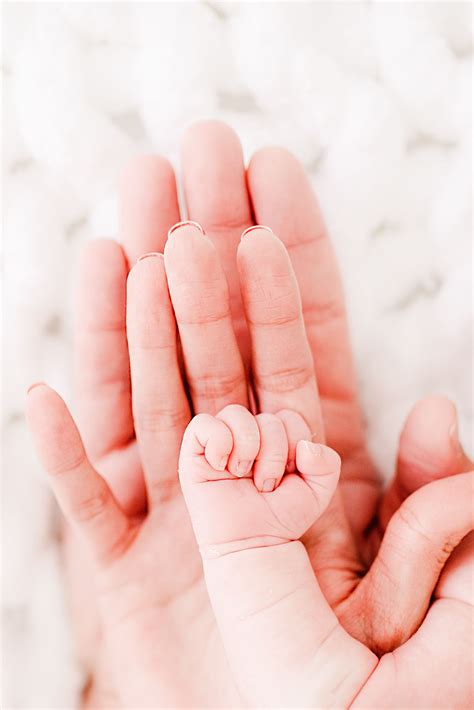 Pin On Newborn Photography By Kelly Kristine Photography