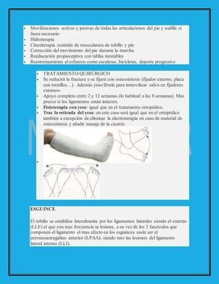 Libro PDF