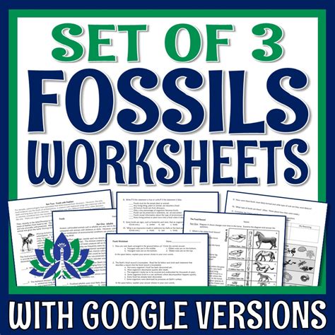 Set Of Fossil Worksheets Flying Colors Science Worksheets Library