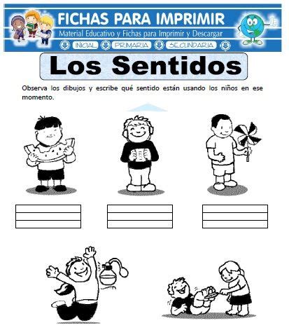 Ciencia Y Ambiente Para Primero De Primaria 28 Fichas GRATIS Los