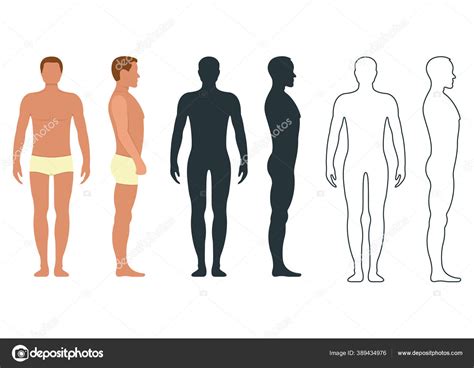 Human Body Silhouette Front And Back