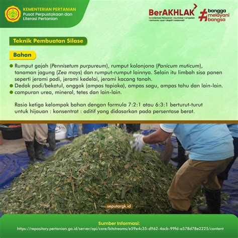 Info Teknologi Silase Sumber Pakan Dari Limbah Pertanian