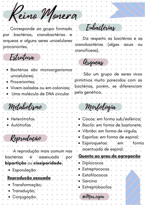 Mapas Mentais Sobre Reino Monera Study Maps