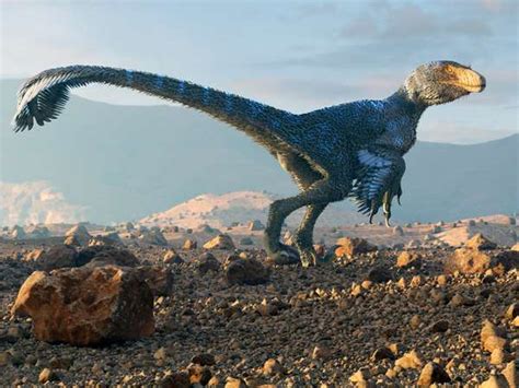 How Do We Know That Dinosaurs May Have Had Feathers Britannica