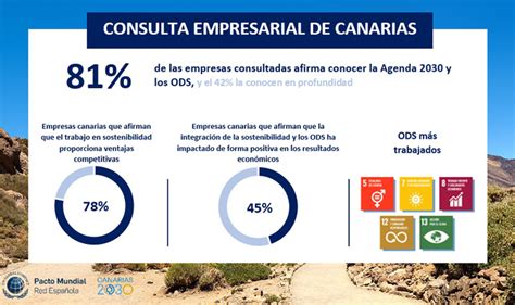 El Informe De Implantaci N De Los Ods En Las Empresas Canarias Muestra