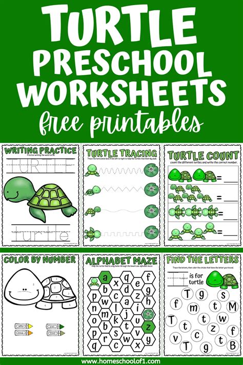 Turtle Worksheets For Preschool Free Printables Homeschool Of