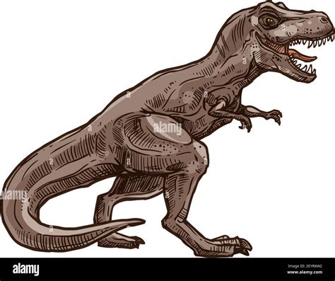 Tyrannosaurus Rex Zeichnung Stock Vektorgrafiken Kaufen Seite 2 Alamy