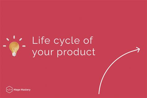 Product Life Cycle Everything You Need To Know About It Mage Mastery