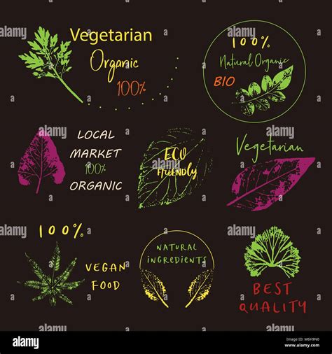 Bio Ökologie Bio Logos und Symbole Etiketten Tags Hand gezeichnet