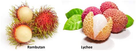 What Is Lychee Fruit What It Tastes Like Insanely Good Off