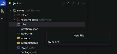 Creating Files And Directories WebStorm Documentation