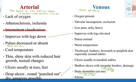 Peripheral Vascular Flashcards Quizlet