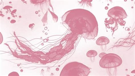 Header Cover Photo In Cute Laptop Wallpaper Pink Wallpaper