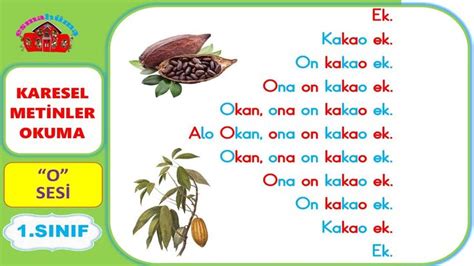 The Words Are Written In Different Languages And Have Pictures Of