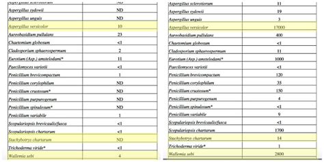How To Interpret ERMI Mold Tests It Takes Time