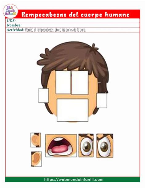 Rompecabezas del cuerpo humano para niños de preescolar
