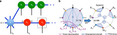 tensor network state construction and entanglement renormalisation download scientific diagram