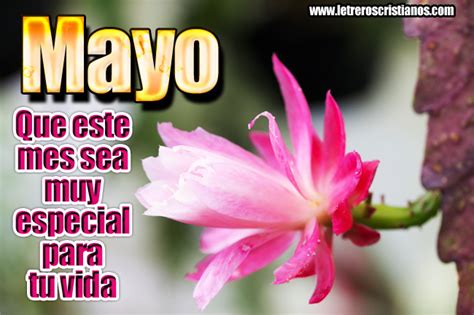 Bienvenido Mayo Mes De Las Flores