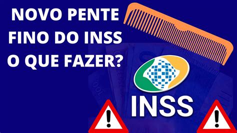 Novo Pente Fino Do INSS O Que Fazer Blog Manual Do Idoso