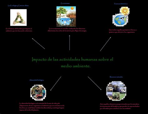 Meio Ambiente Mapa Mental