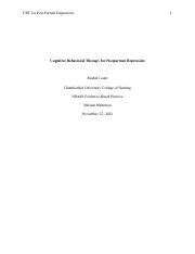 Rushels RUA Analyzing Published Research New 1 Docx CBT For Post