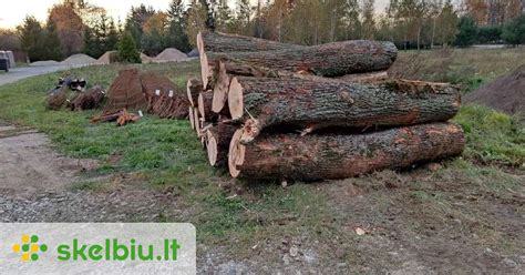 Parduodu Klevo Rastus Skelbiu Lt