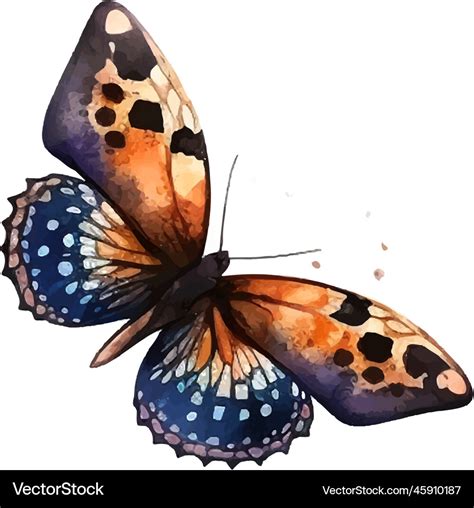 Blue Purple Butterfly Watercolor Isolated Vector Image