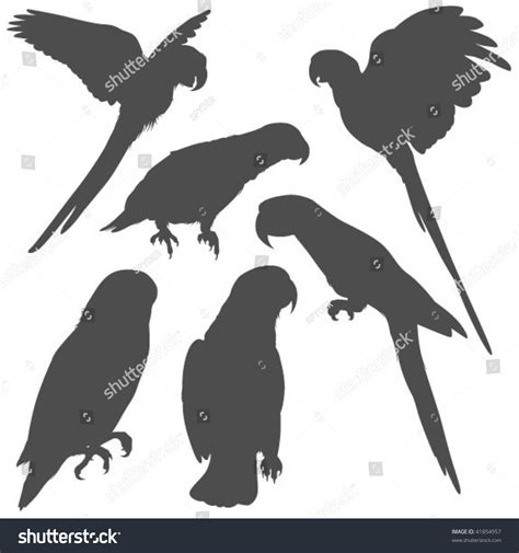 Parrot Silhouettes Stock Vector Royalty Free 41854957