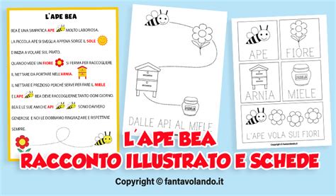 Giornata Mondiale Delle Api Maggio Racconto Illustrato E Schede