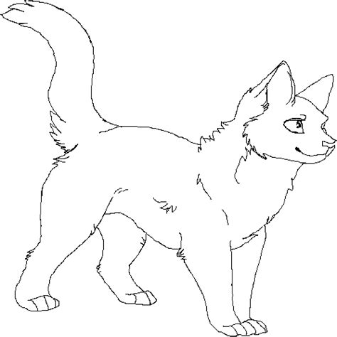 Warrior Cat Base