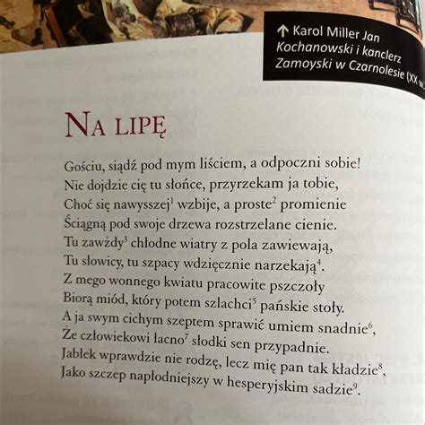 Przeczytaj fraszkę Jana Kochanowskiego pod tytułem Na lipę Określ