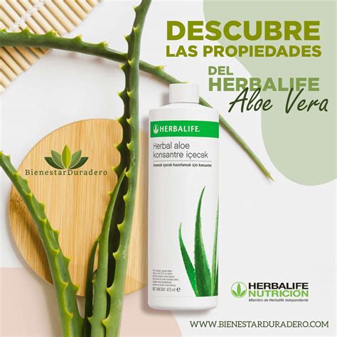 Descubre Las Propiedades De Aloe Vera Herbalife