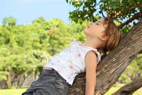 La Petite Fille Se Trouve Sur Le Caudex De L Arbre Photo Stock Image
