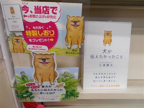 紀伊國屋書店上智大学短期大学部店 on Twitter サンクチュアリ出版 犬が伝えたかったこと 三浦健太 著 お買い上げの方に