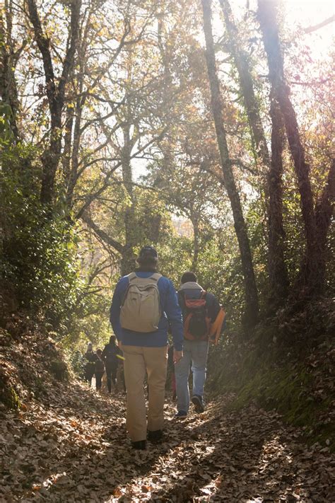 Locandares Amigos Del Senderismo RUTA RIBERA DEL JABUGO PARQUE
