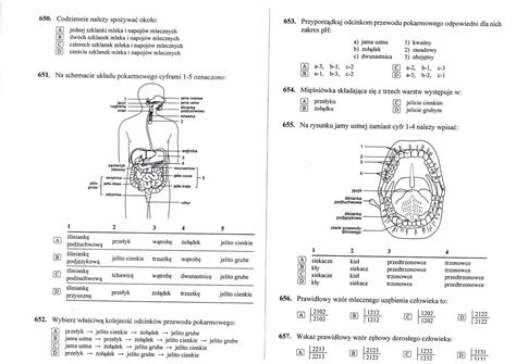 Test Przyroda Klasa 4 Układ Pokarmowy Margaret Wiegel