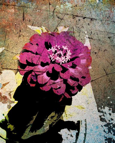 Flor Exterior Naturaleza Imagen Gratis En Pixabay Pixabay