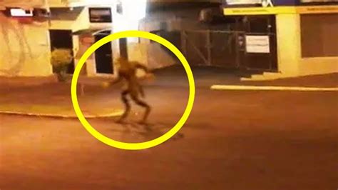 Lobisomem filmado em BRASÍLIA Vídeo revelou detalhes impressionantes