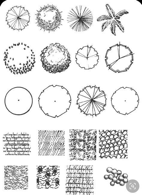 Pin By Jesse Jones On Landscape Design Tree Plan Photoshop Tree