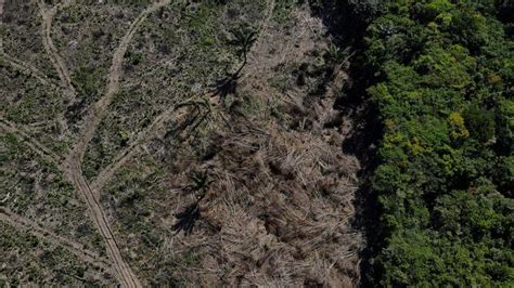 Brésil déforestation record en Amazonie en octobre