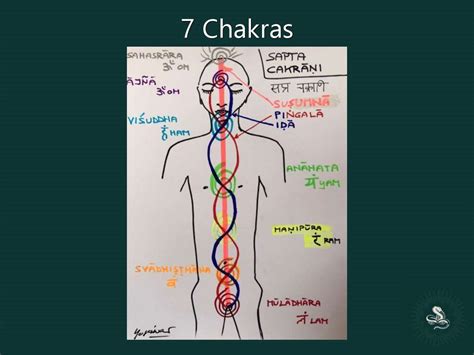 Chakras and Nadis презентация онлайн