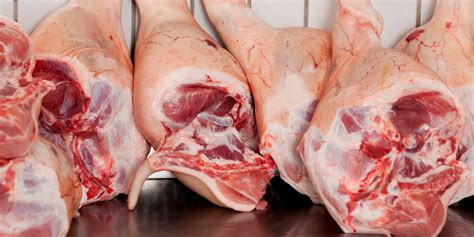 Distribución de la carne de cerdo en México BM Editores