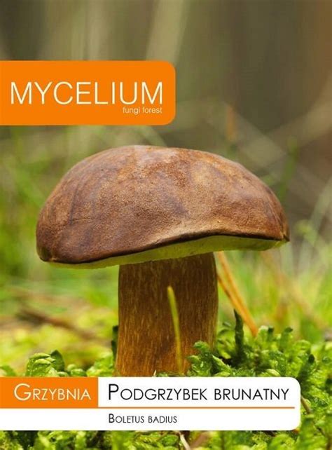 Grzybnia Podgrzybek Brunatny 10 G Inna Marka Sklep EMPIK