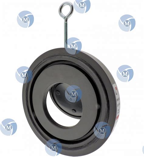Clapet anti retour à battant en PVC pour diamètre de tuyauterie 110 mm