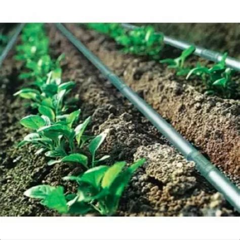 Harvel Captain Inline Drip Irrigation System At Rs 25 Piece In Srinagar