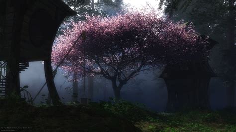 Wallpaper 1920x1080 Wallpaper Teahub Io