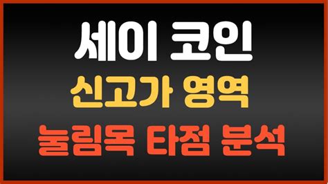 세이 코인 전망 세이 코인 신고가 영역 눌림목 타점 분석 2024 미친듯이 수익 냅시다 YouTube