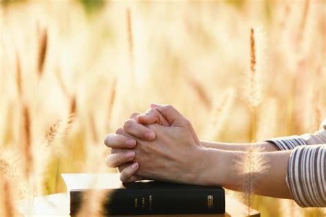 Oração de Nossa Senhora de Nazaré Para Alcançar Uma Graça